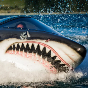 Queenstown’s Semi Submersible Shark Ride - Hydro Attack Queenstown